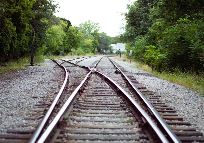 Railroad Tracks through Woods Stock Photo - Image of track, beautiful ...
