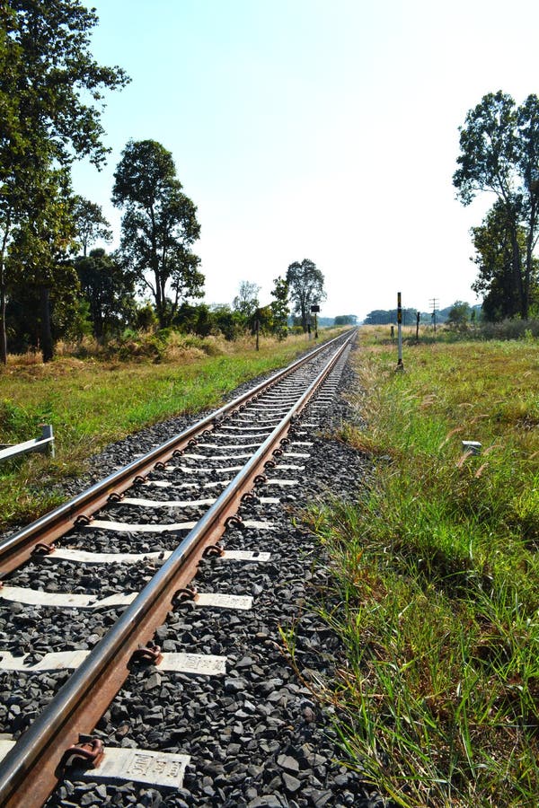 Railroad stock photo. Image of railroad, transportation - 48893160