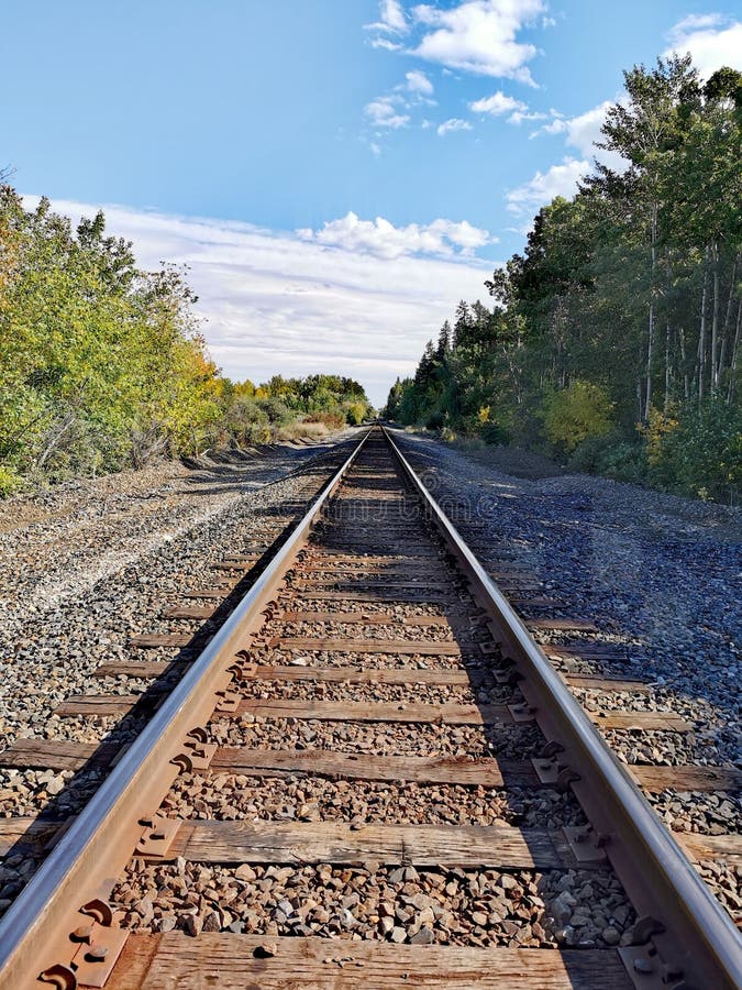 Railroad trees sky stock image. Image of locomotive - 232013123