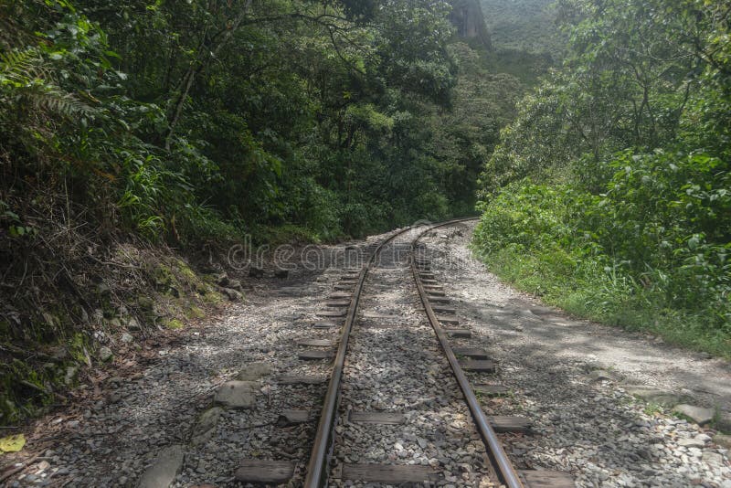 Railroad turn in forest stock photo. Image of peru, track - 226505514