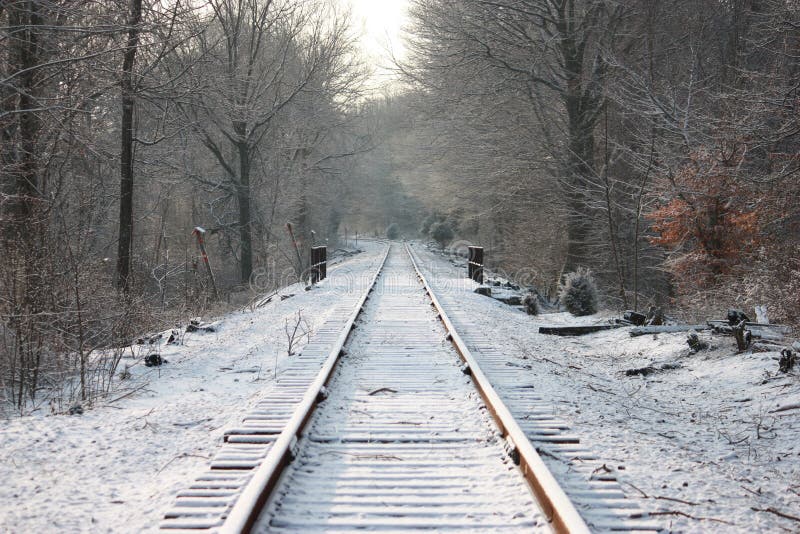 Railroad stock photo. Image of snowy, trees, winter, tracks - 43950530