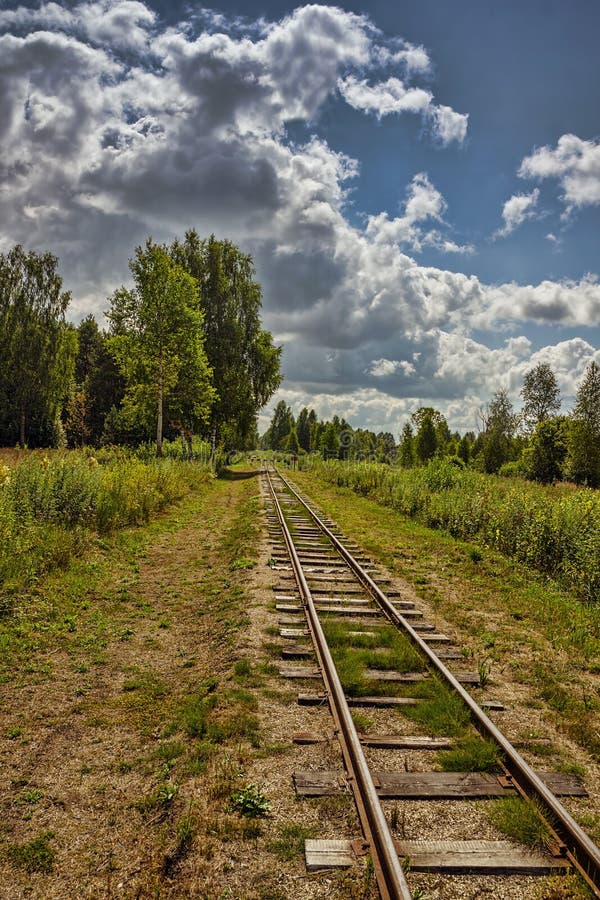 The railroad in the wood stock image. Image of line, railroad - 44392213
