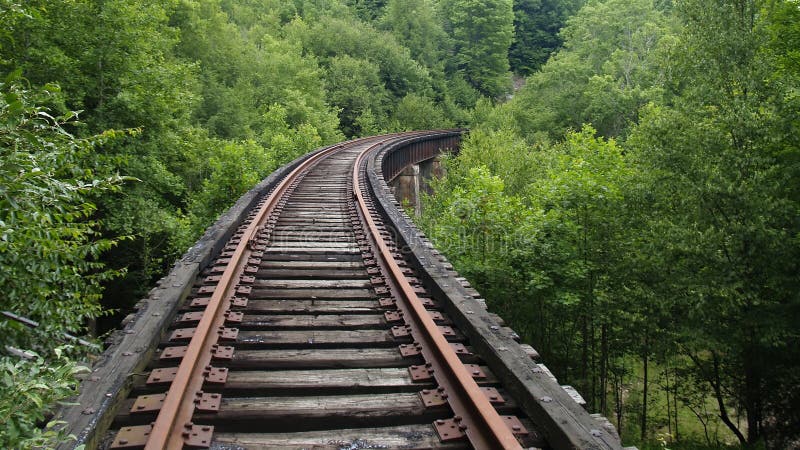 Railroad into the woods stock photo. Image of railroad - 1086626