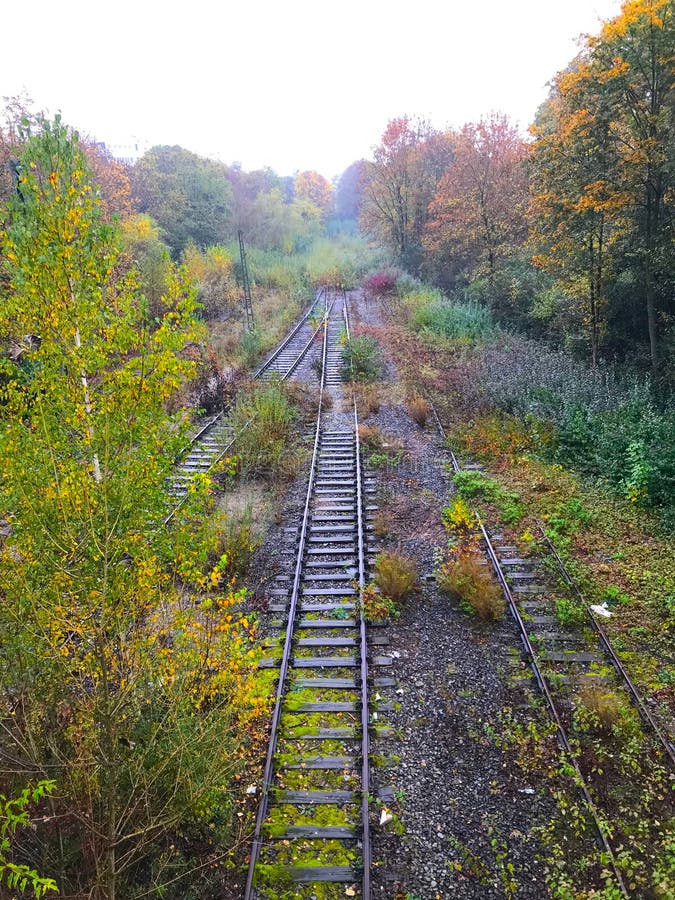 The Rails of an Abandoned Railway are Overgrown with Grass. Stock Image ...