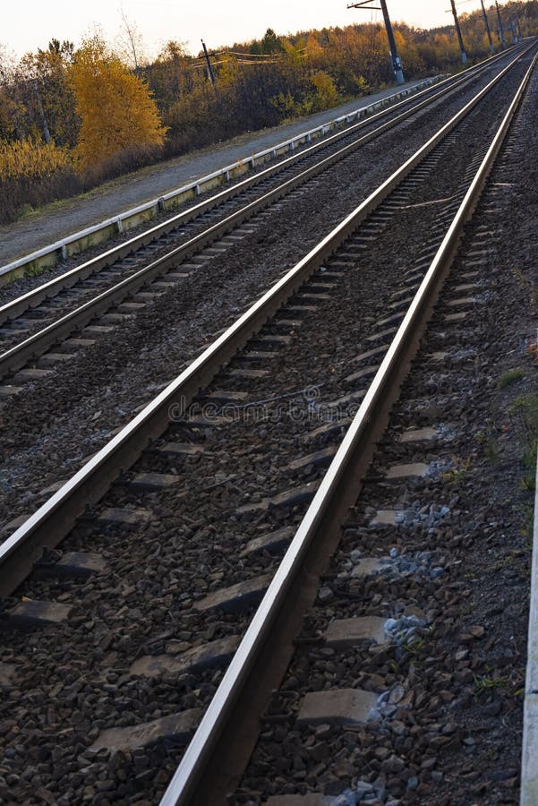 Rails Extending into the Distance Stock Photo - Image of nature ...