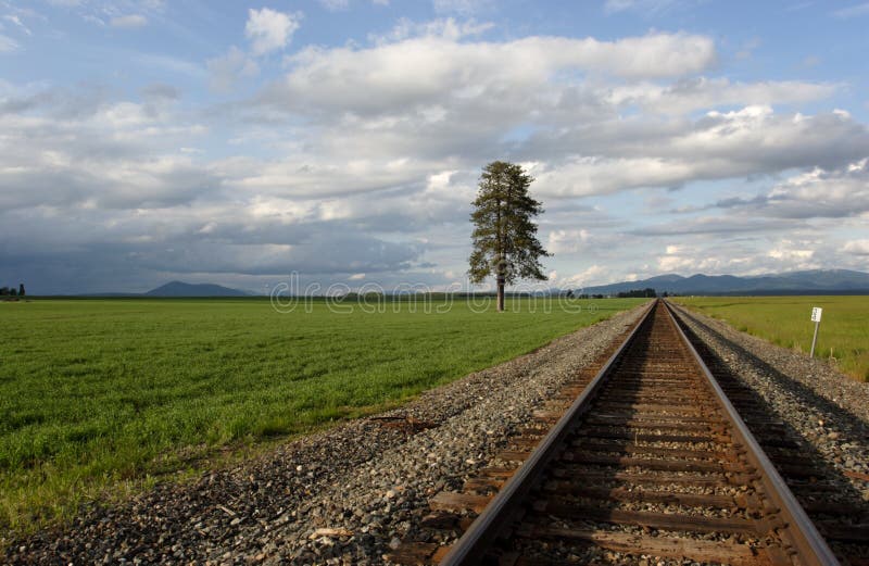 Rails through the field. stock image. Image of industrial - 5393333