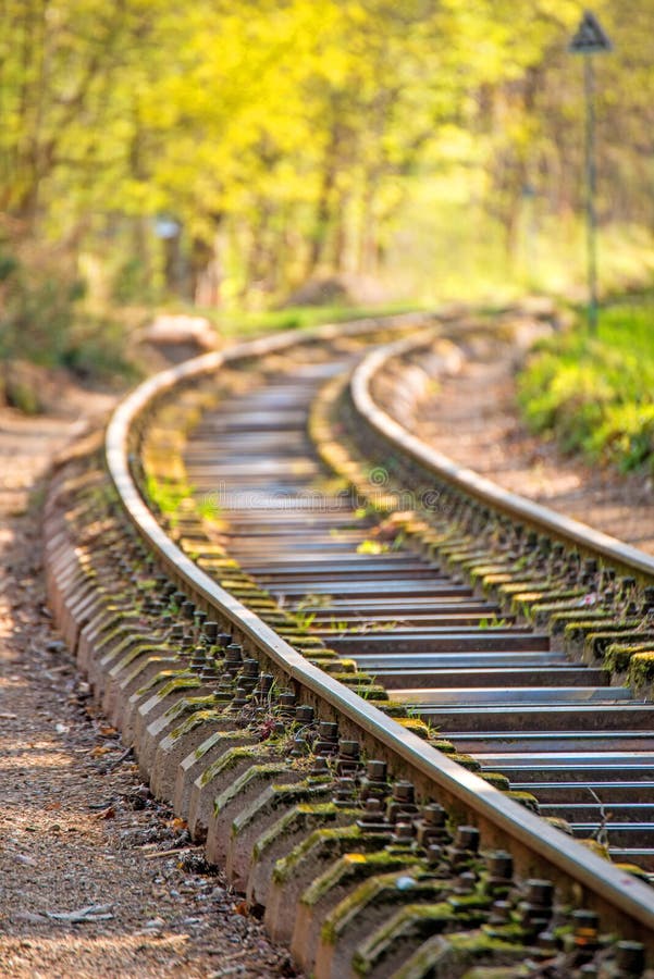 Rails Out of Order in a Forest Stock Photo - Image of grass, rusty ...