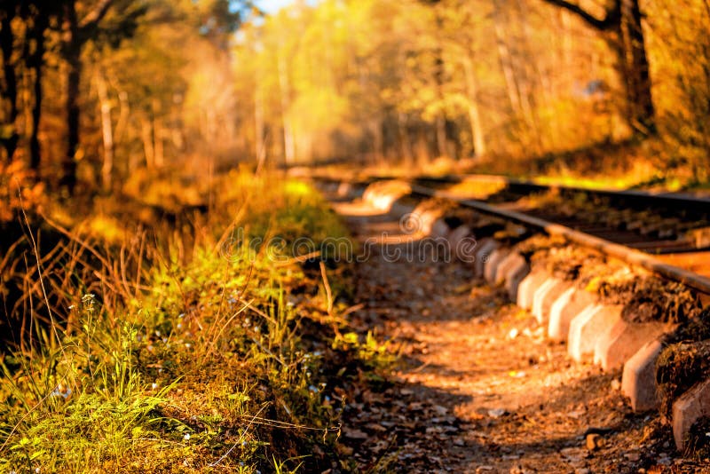 Old Rails in Soft Autumnal Morning Sun Stock Photo - Image of outdoor ...