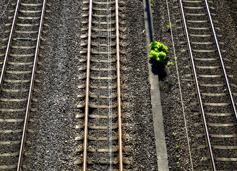 Rails & Plant stock image. Image of green, grey, transport - 11036143