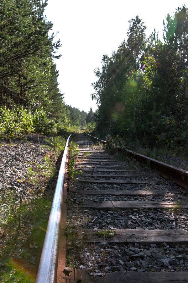 Rails of the railway stock photo. Image of metal, forest - 98206896