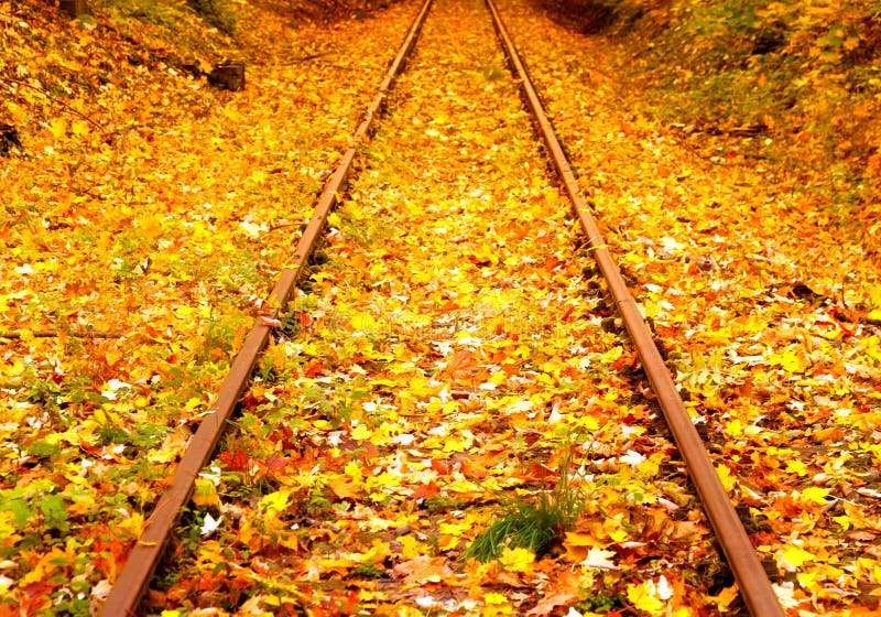 Railway in the Autumn Forest Stock Image - Image of branch, rail: 27806773
