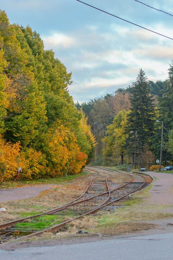 Railway stock photo. Image of hill, forest, wilderness - 45585940
