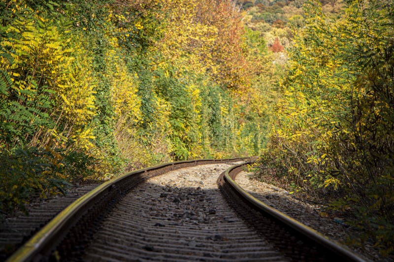 The Railway from the Barnova Forest Stock Photo - Image of transport ...