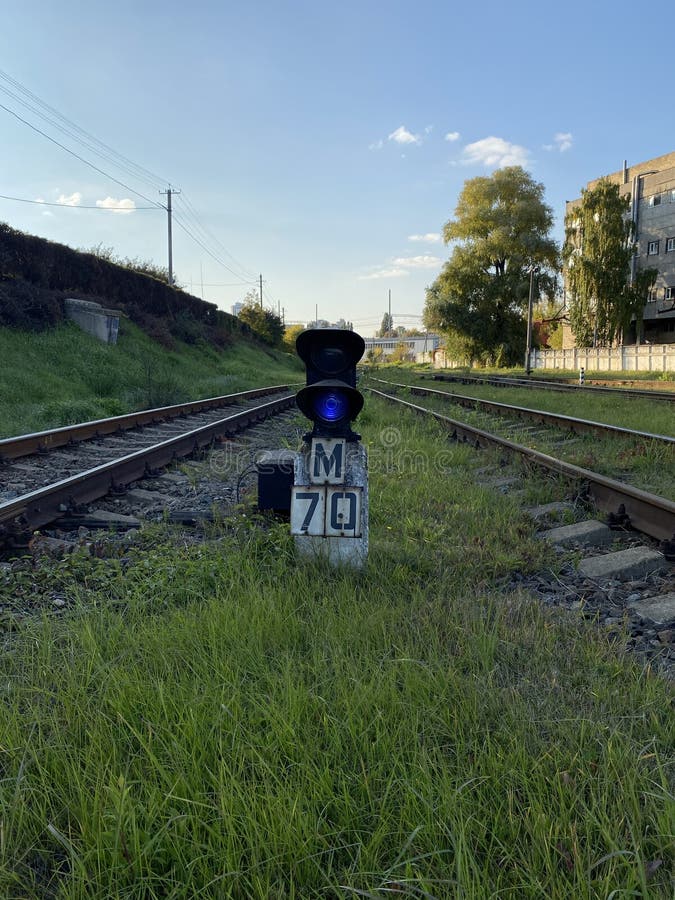 Railway Blue Traffic Light in the Grass Stock Image - Image of travel ...