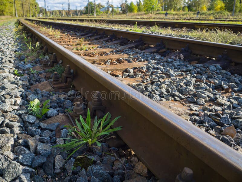 Railway Crossing, Railway Going into the Distance. Stock Image - Image ...