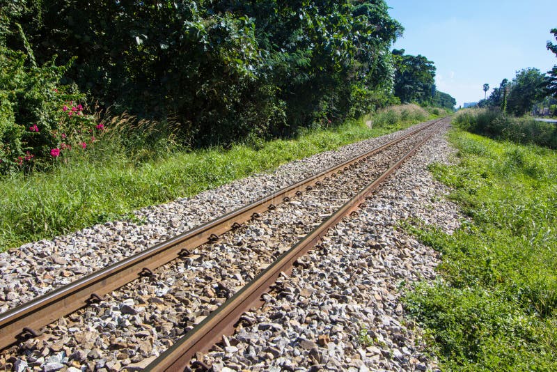 Railway Diagonal Line Nature Tree beside Stock Photo - Image of nature ...