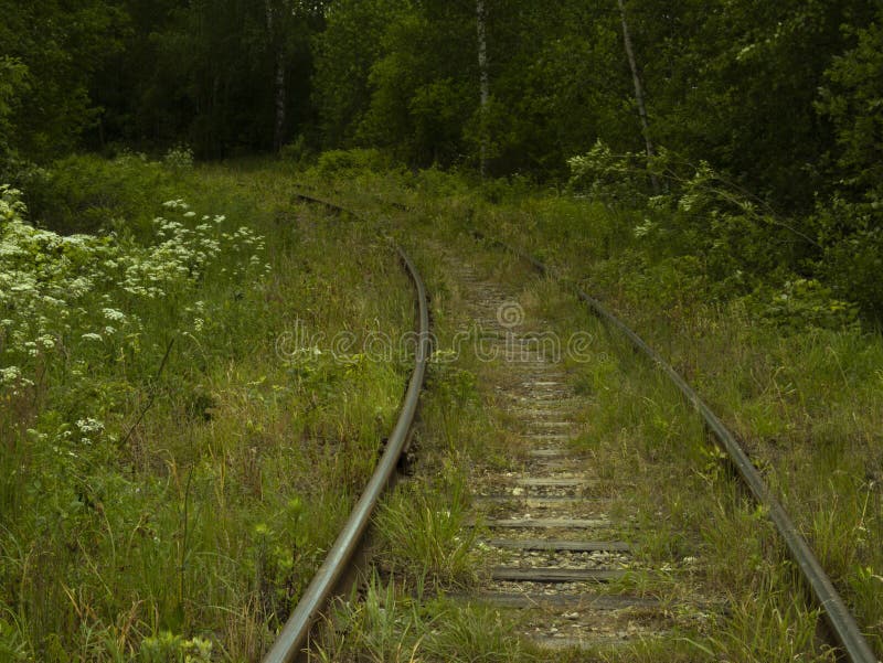 Railway in the forest belt stock image. Image of wilderness - 221073987