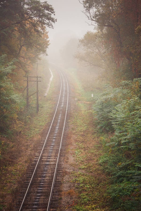 Railway in the Forest in Mist Stock Photo - Image of mountain ...
