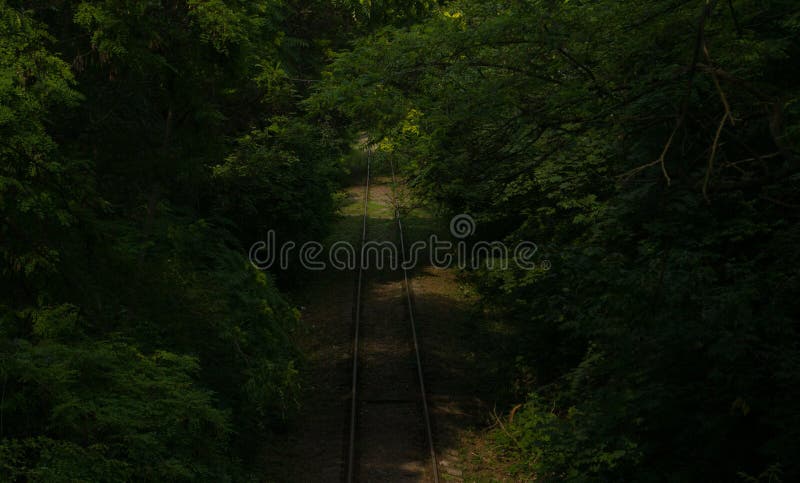 Railway in the forest stock image. Image of green, forest - 154217165