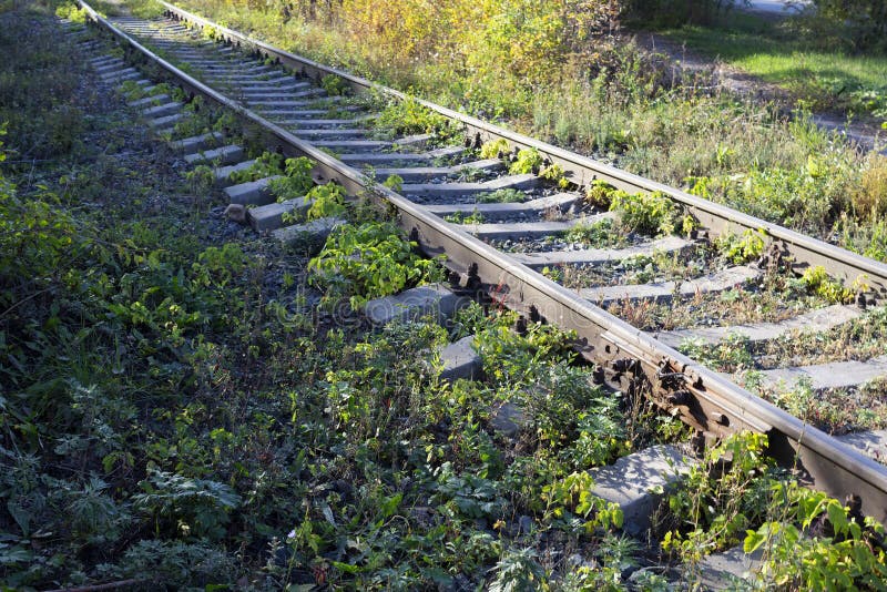 The railway among grass stock image. Image of path, sleepers - 127264209