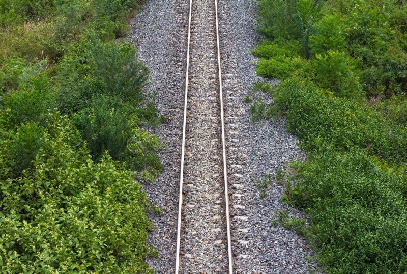 Railway with grass, weeds stock image. Image of parallel - 56104059
