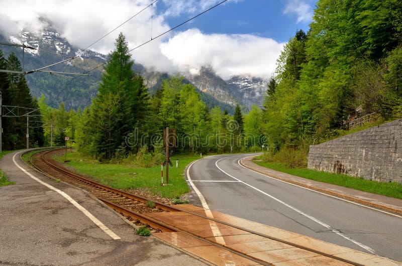 Railway Line Crossing the Road Stock Photo - Image of trees, line: 50062978