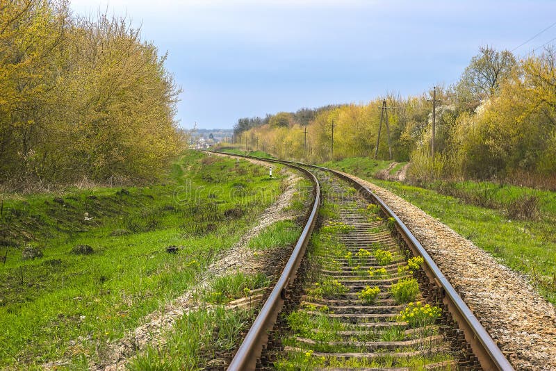 Railway Line Passing through the Forest Stock Photo - Image of bright ...