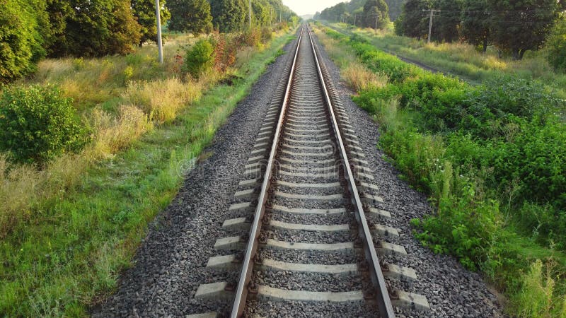 Railway Lines through the Forest and Nature. Stock Image - Image of ...