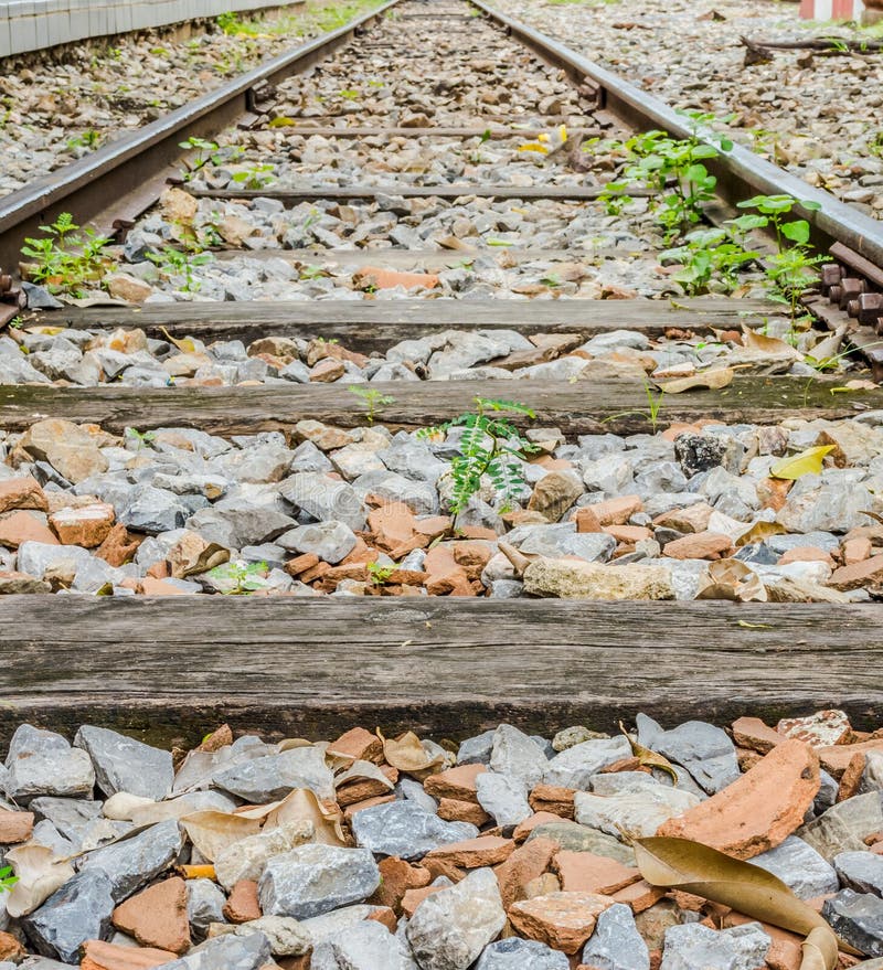 Railway Lines Travel through a Railway Station Stock Image - Image of ...