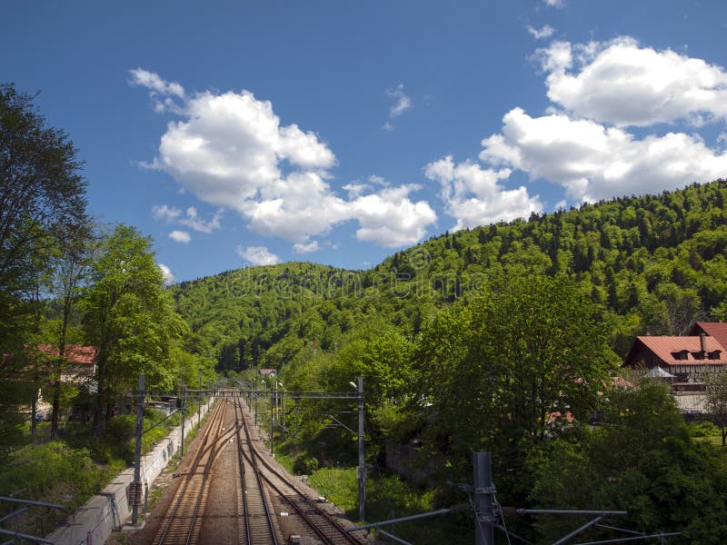 Railway in nature stock photo. Image of scene, track - 41643210