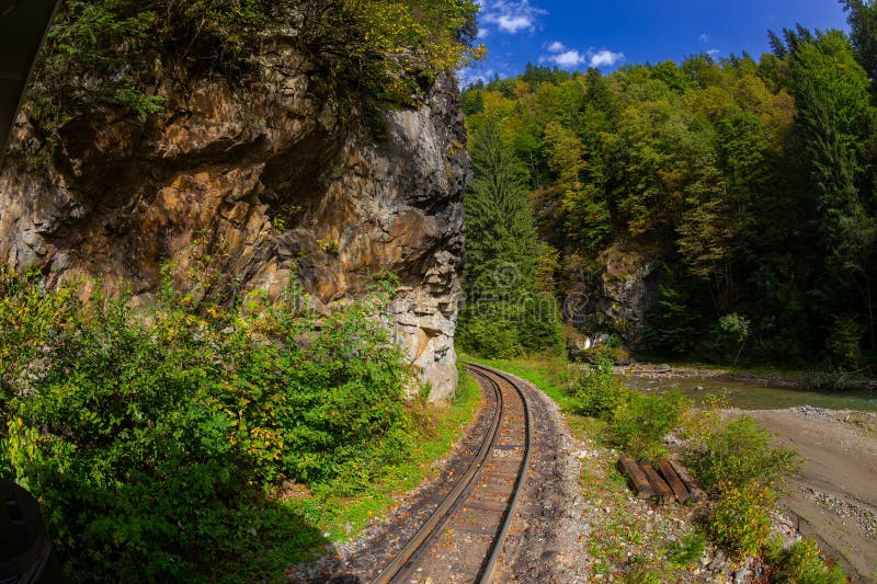 Railway in Nature on Steam Train Stock Photo - Image of forest, cliffs ...