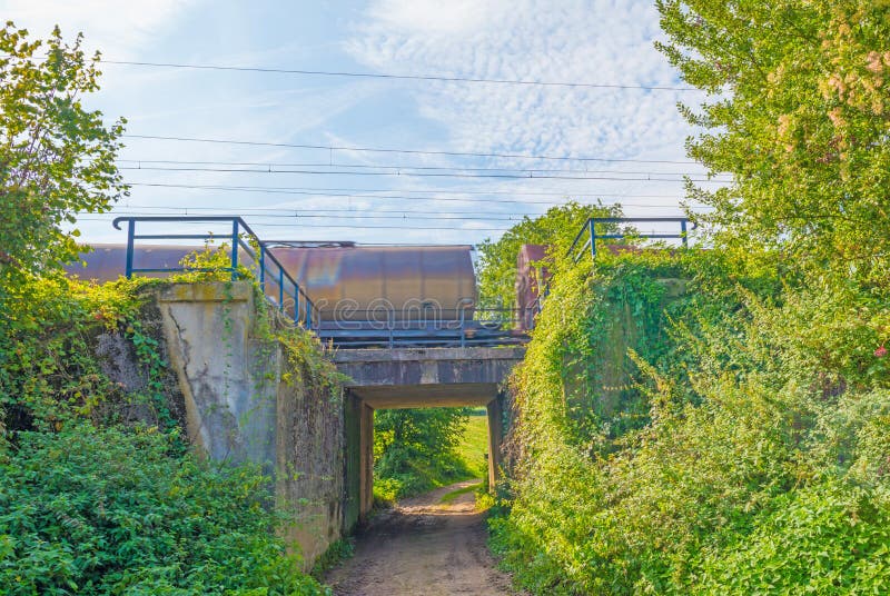 Railway through Nature in Sunlight in Autumn Stock Image - Image of ...