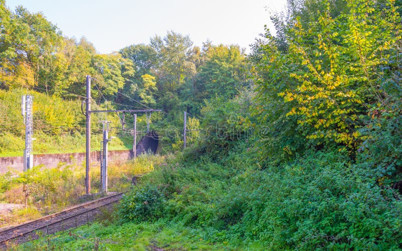 Railway through Nature in Sunlight in Autumn Stock Photo - Image of ...