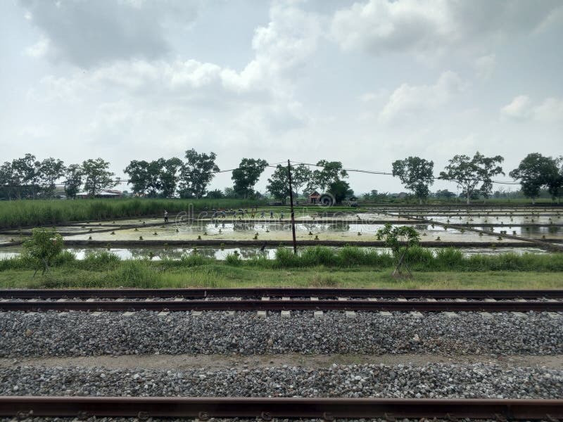 Railway with Paddy Field View from Running Train in the Afternoon Stock ...