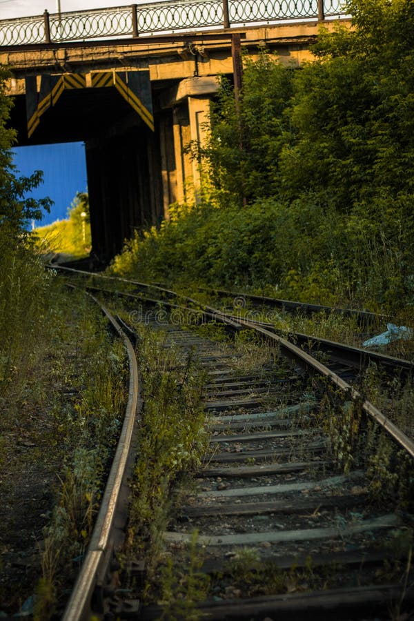 Railway Rails Going Under Bridge Stock Photos - Free & Royalty-Free ...