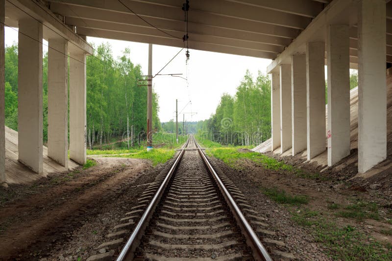 Railway road stock photo. Image of forest, railroad, bridge - 35770562
