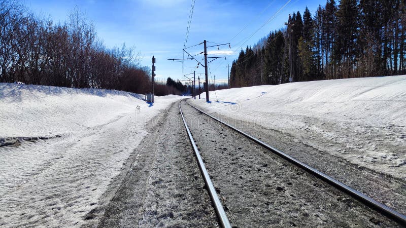 654 Distance Rail Tracks Tree Stock Photos - Free & Royalty-Free Stock ...