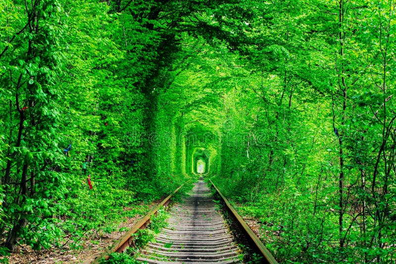 A Railway in the Spring Forest Tunnel of Love Stock Photo - Image of ...