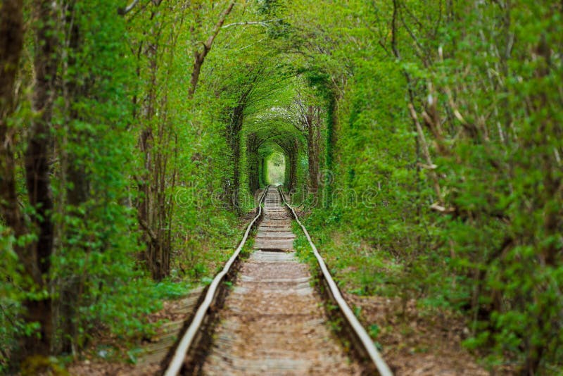 A Railway in the Spring Forest. Tunnel of Love Stock Image - Image of ...