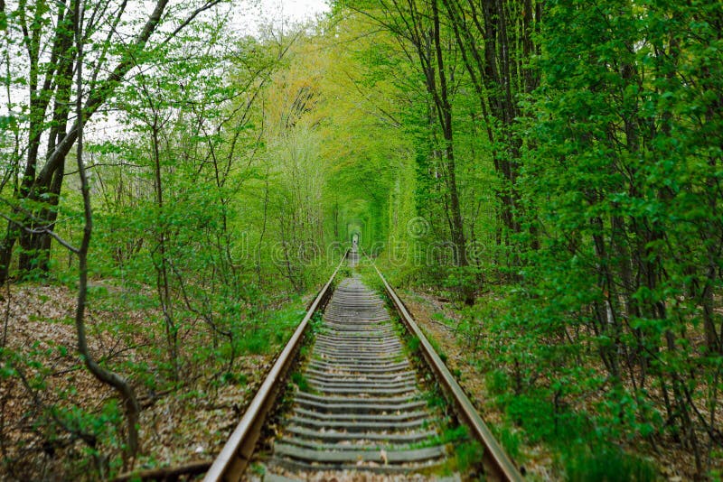 A Railway in the Spring Forest. Tunnel of Love Stock Image - Image of ...