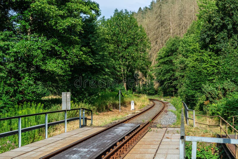 Railway Station in the Forest Stock Image - Image of platform, green ...