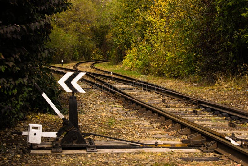 Railway Track with an Arrow in the Forest Stock Image - Image of grass ...
