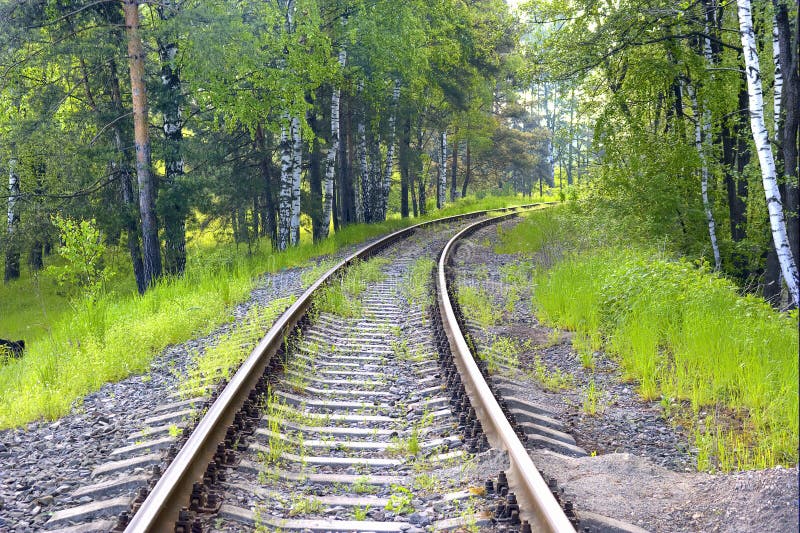 Railway Track in the Forest Stock Image - Image of railroad, embankment ...