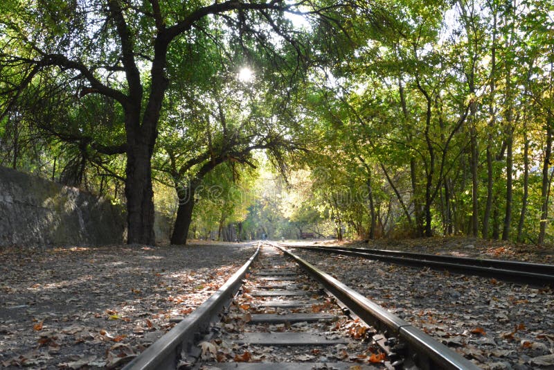 Railway Track in the Forest. the Road Leading Deep into the Forest ...