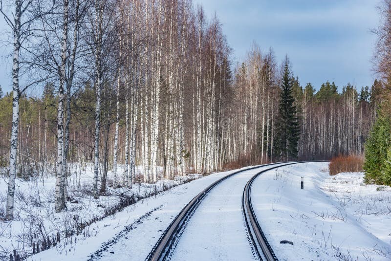 Railway Track in the Forest. Stock Photo - Image of winter, europe ...