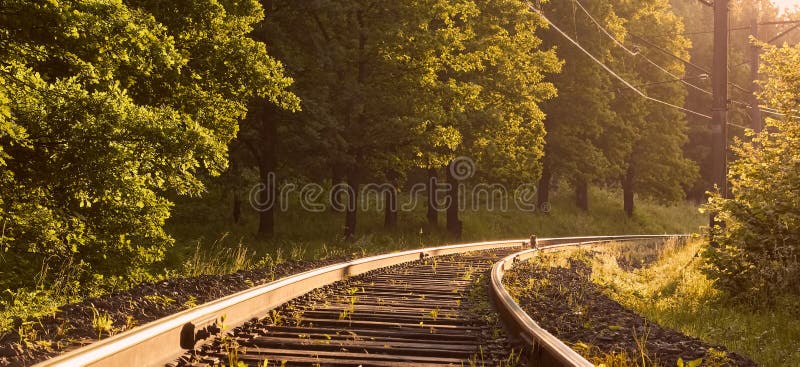 Railway Track in the Middle of a Beautiful Forest. Stock Image - Image ...