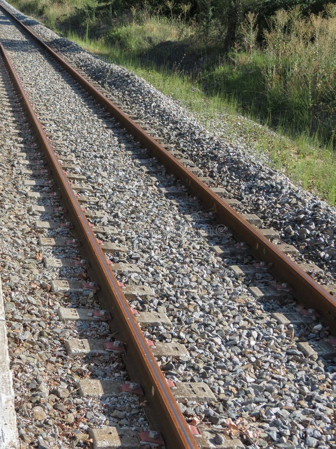 Railway track perspective stock photo. Image of transport - 251687632