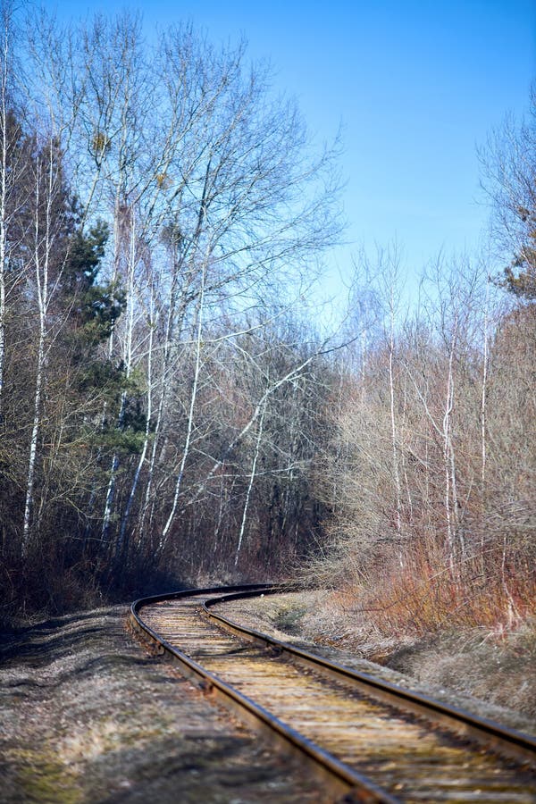 Railway Track Selective Focus in the Spring Forest with Blue Sky with ...