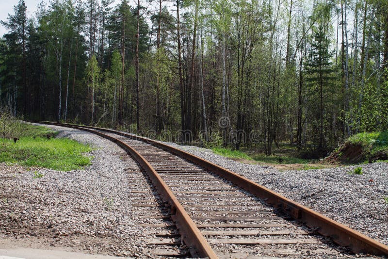 Railway track in the woods stock image. Image of travel - 24662417