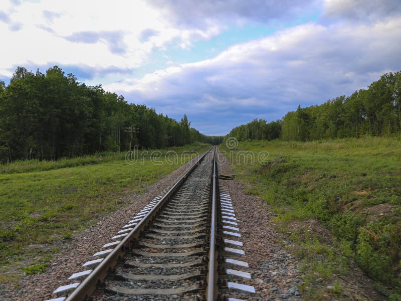 Railway. Railway Tracks among Green Forest and Grass. Empty Rails ...